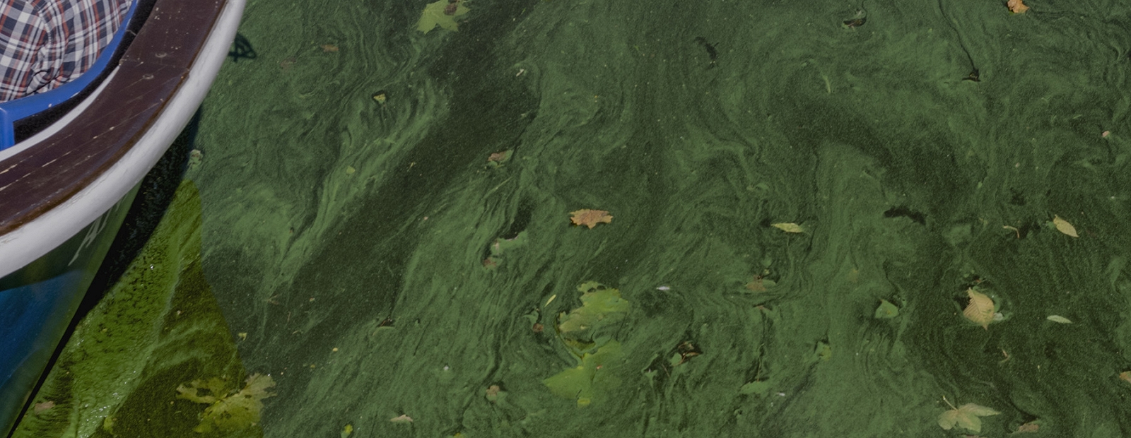 Galerijā Māksla XO būs skatāma Jāņa Deinata izstāde – FK